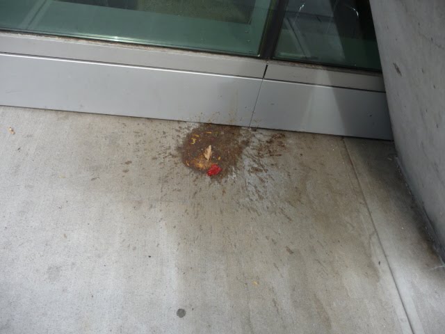 EV Heave: More pavement pizza on the menu at the Coop