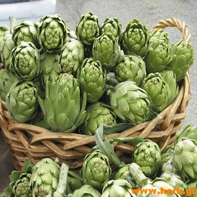 Θεραπευτικά Βότανα: Η Αγκινάρα και τα φύλλα της - H Agkinara kai ta ...