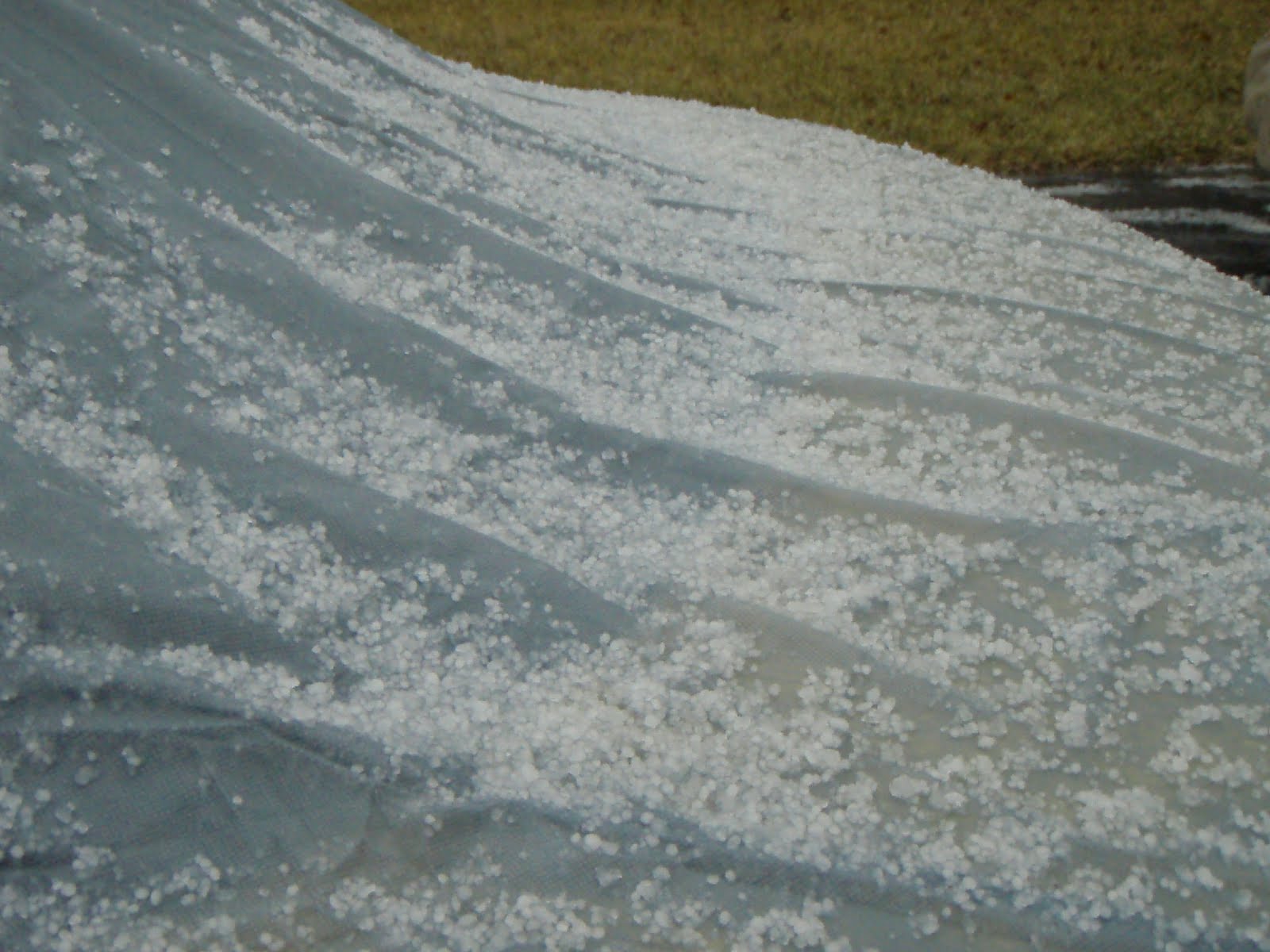 Too Blog-Challenged: January 26: Sleet storm