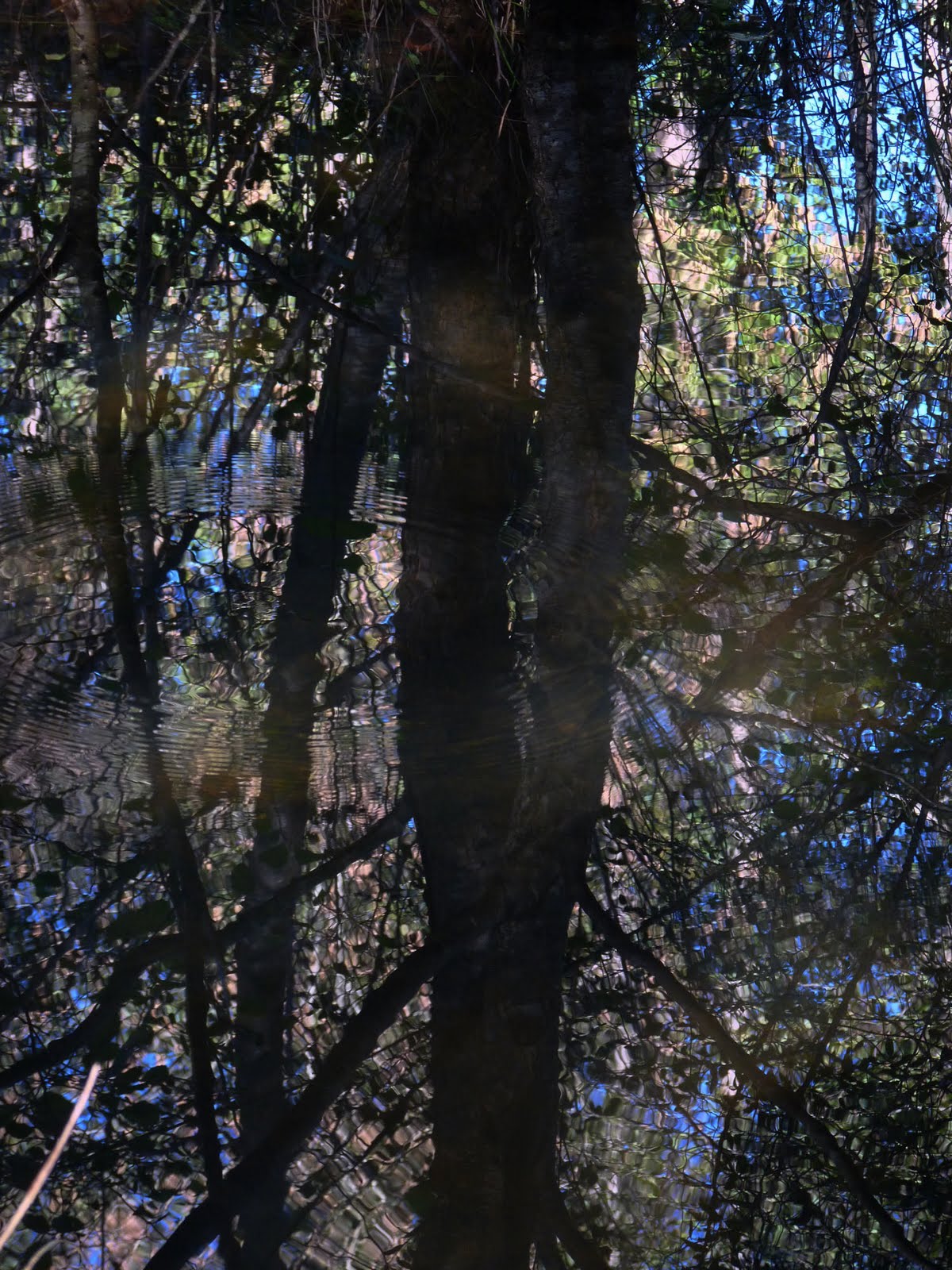 Working And Use Of Optical Square In Surveying