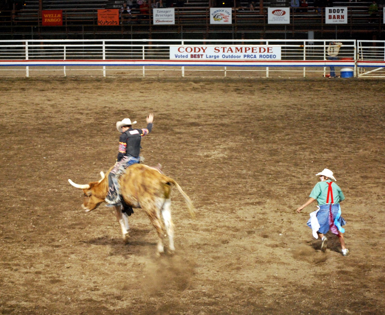 Mille Fiori Favoriti: The Rodeo in Cody, Wyoming