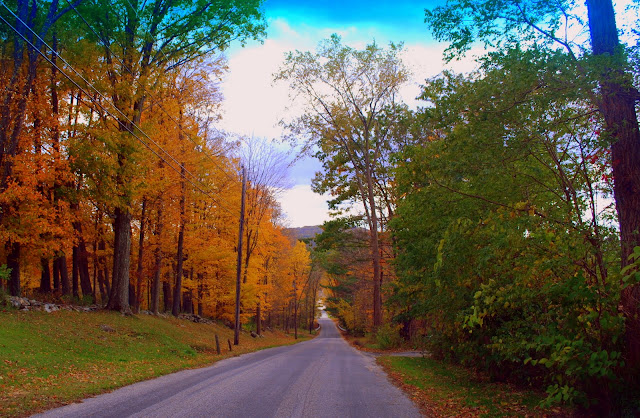 Mille Fiori Favoriti: Top Foliage Town? Kent, Connecticut