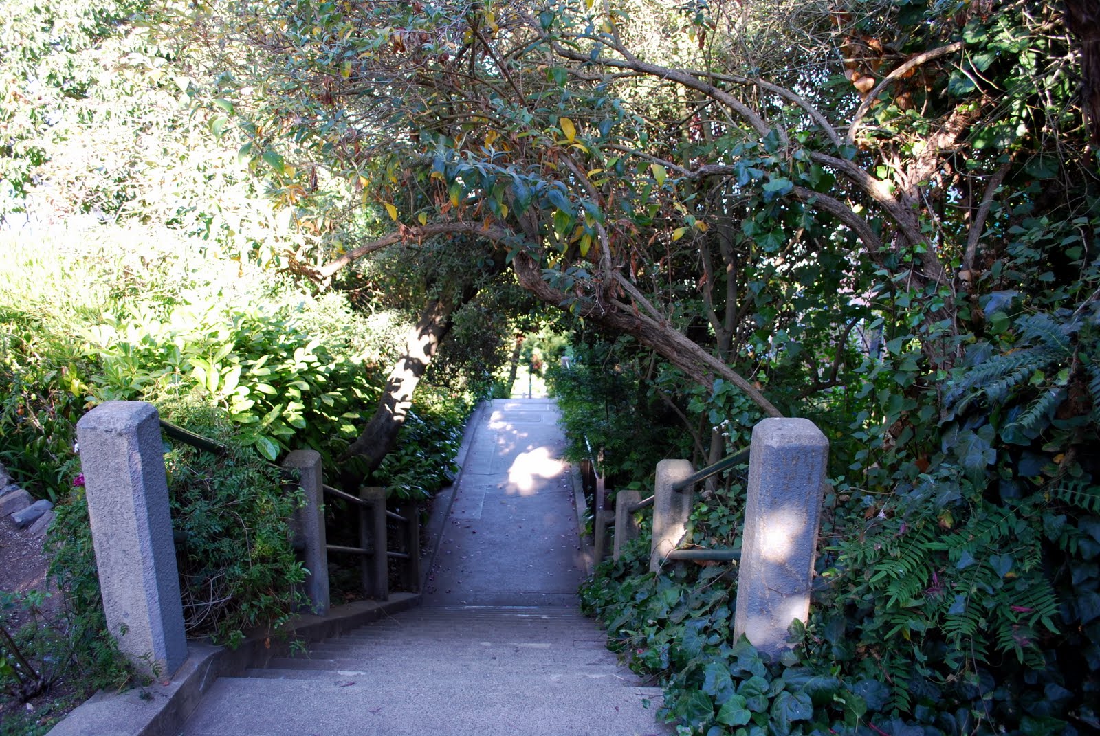 Mille Fiori Favoriti: The Filbert Steps, San Francisco