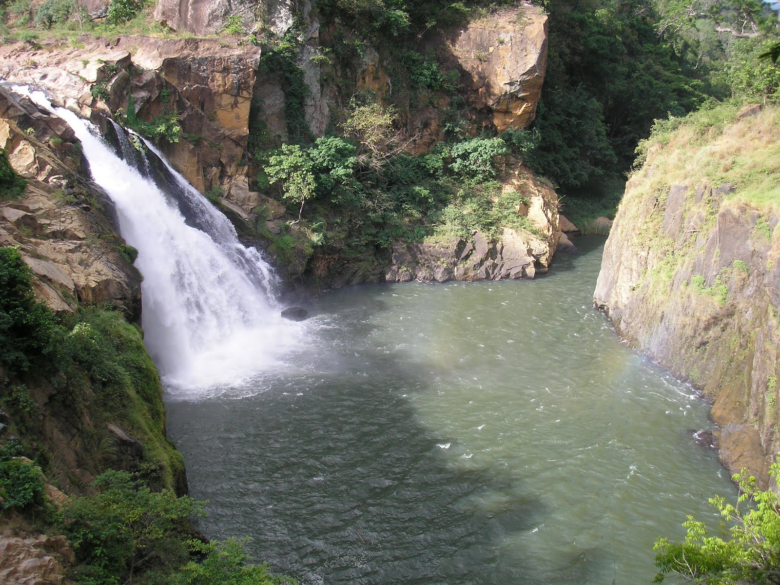 harithacharika - Travelling Nature in Sri Lanka: Kapugala & Kalthota