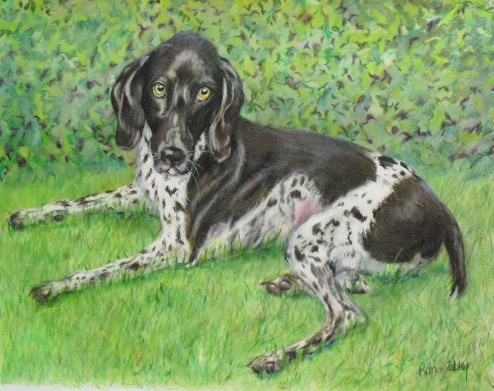 Art and Animals: Ilsa's Portrait - German Shorthaired Pointer