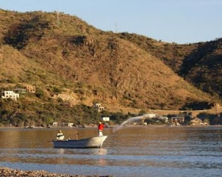 Olalla Bay: Playa Juncalito Reprise