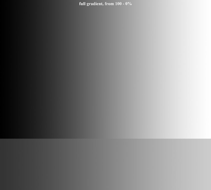 ART and WATER: Grayscale Gradient Test for photo polymergravure