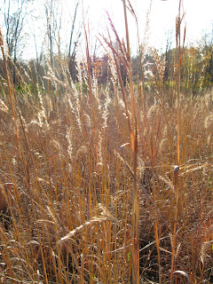 Flight....for the land: The Prairie Fire