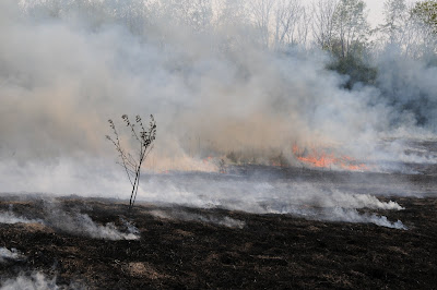 Flight....for the land: The Prairie Fire