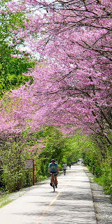 Flight....for the land: Biking the Monon Trail