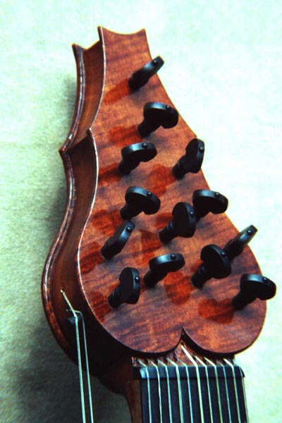 Lira da gamba - Lirone