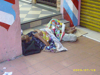 elephants my friends