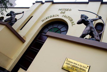 Maxi Mounds And Chelsea Charms