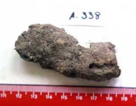 Clube de História de Valpaços: Coprólitos - excrementos preciosos