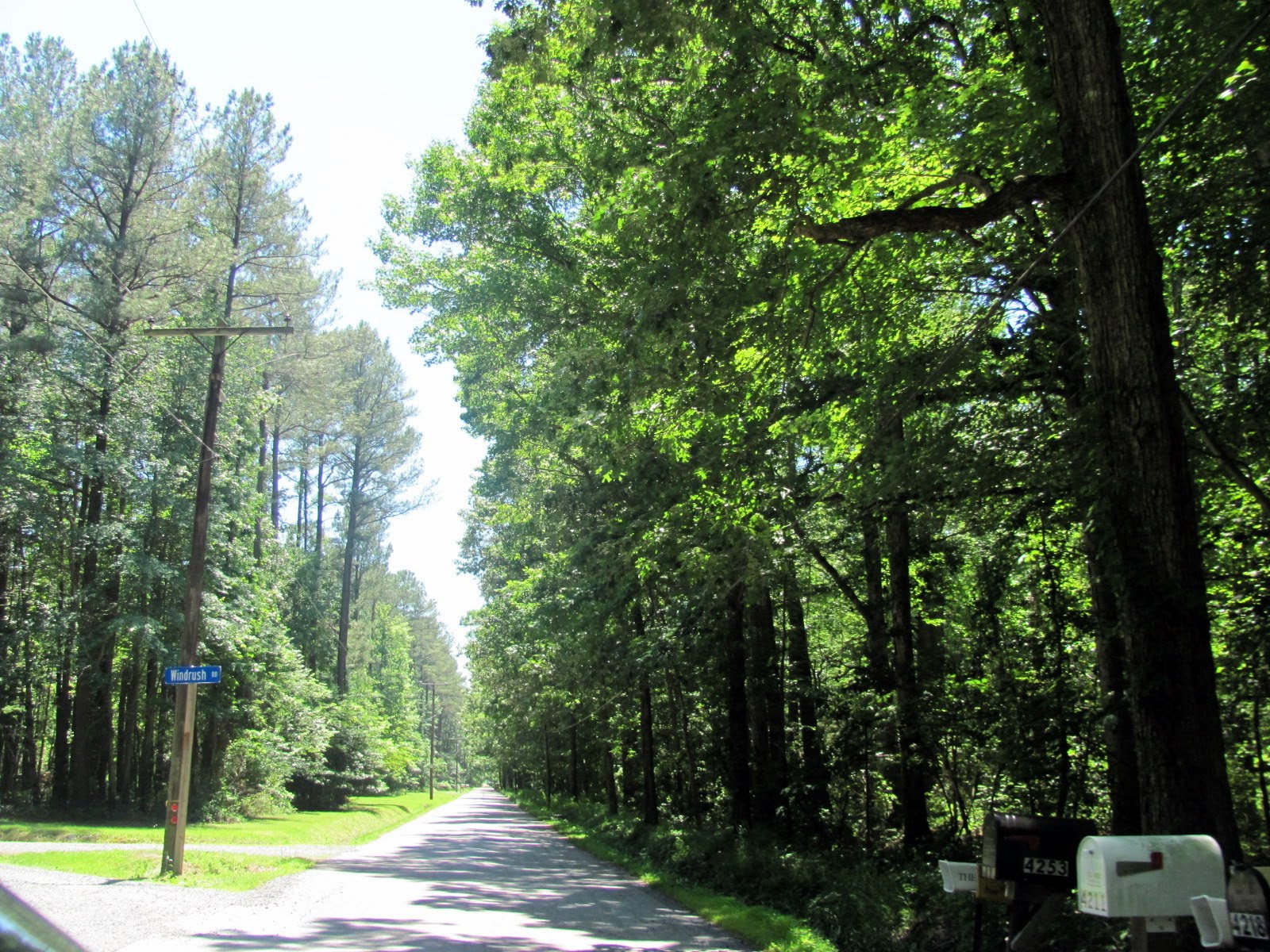 Kartik's Travel Blog: Washington DC - Maryland Countryside