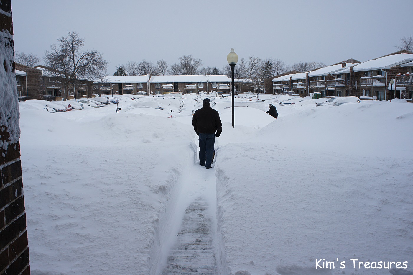 Kim's Treasures: Chicago Blizzard 2011
