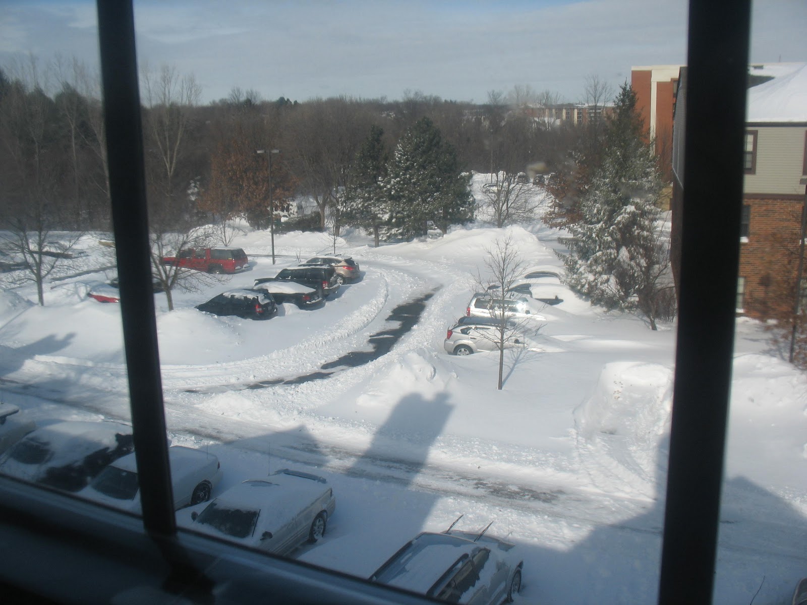 The Insatiable Italian: Chicago Snowpocalypse 2011