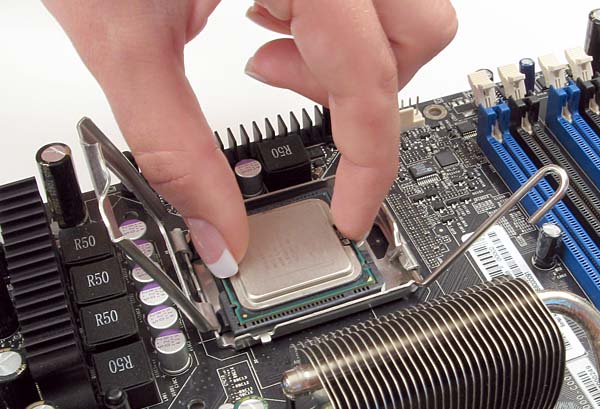 Everything about computers: Central Processing Unit (CPU)