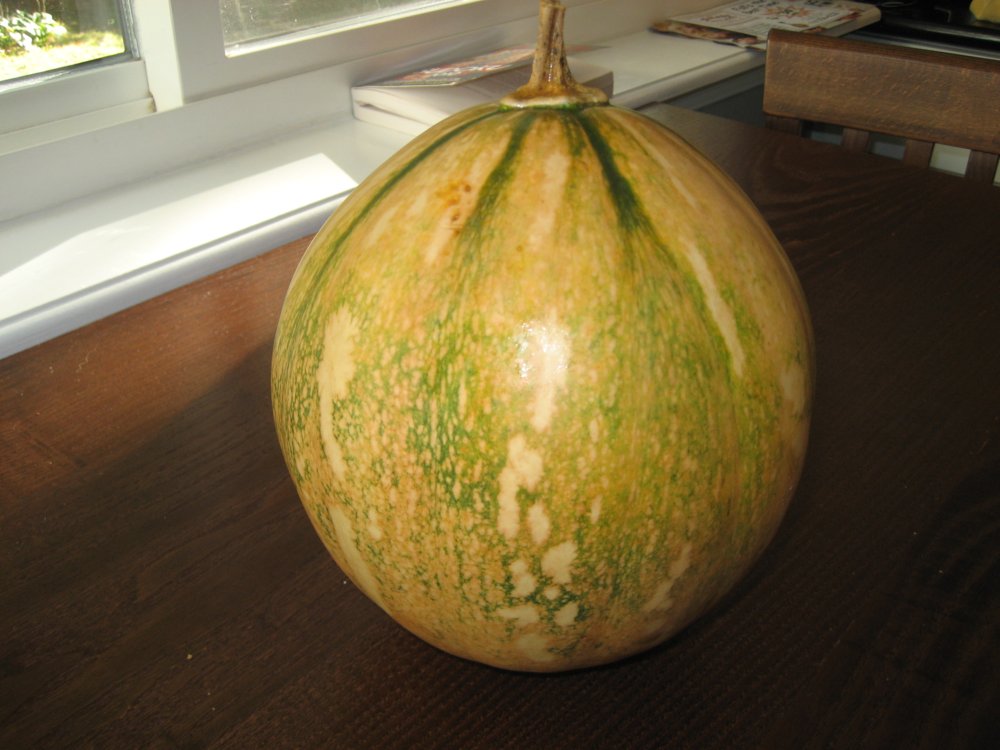 The Pumpkin Project: Smoky Braised Mexican Pumpkin with Seared White Onion