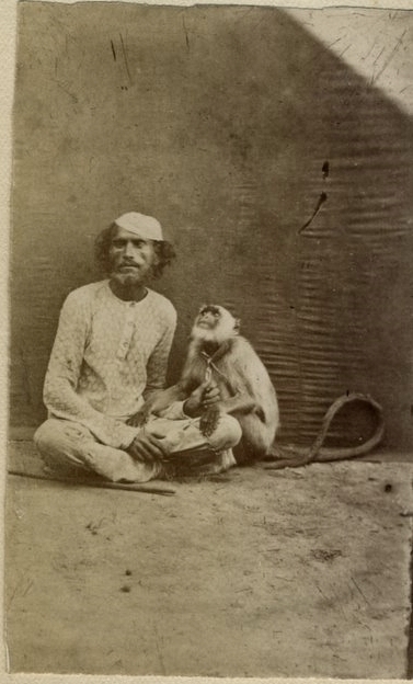 Man with a Monkey - 1880's - Old Indian Photos