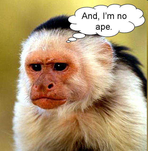 The Mermaid's Tale: Let’s get this straight once and for all: They’re ...