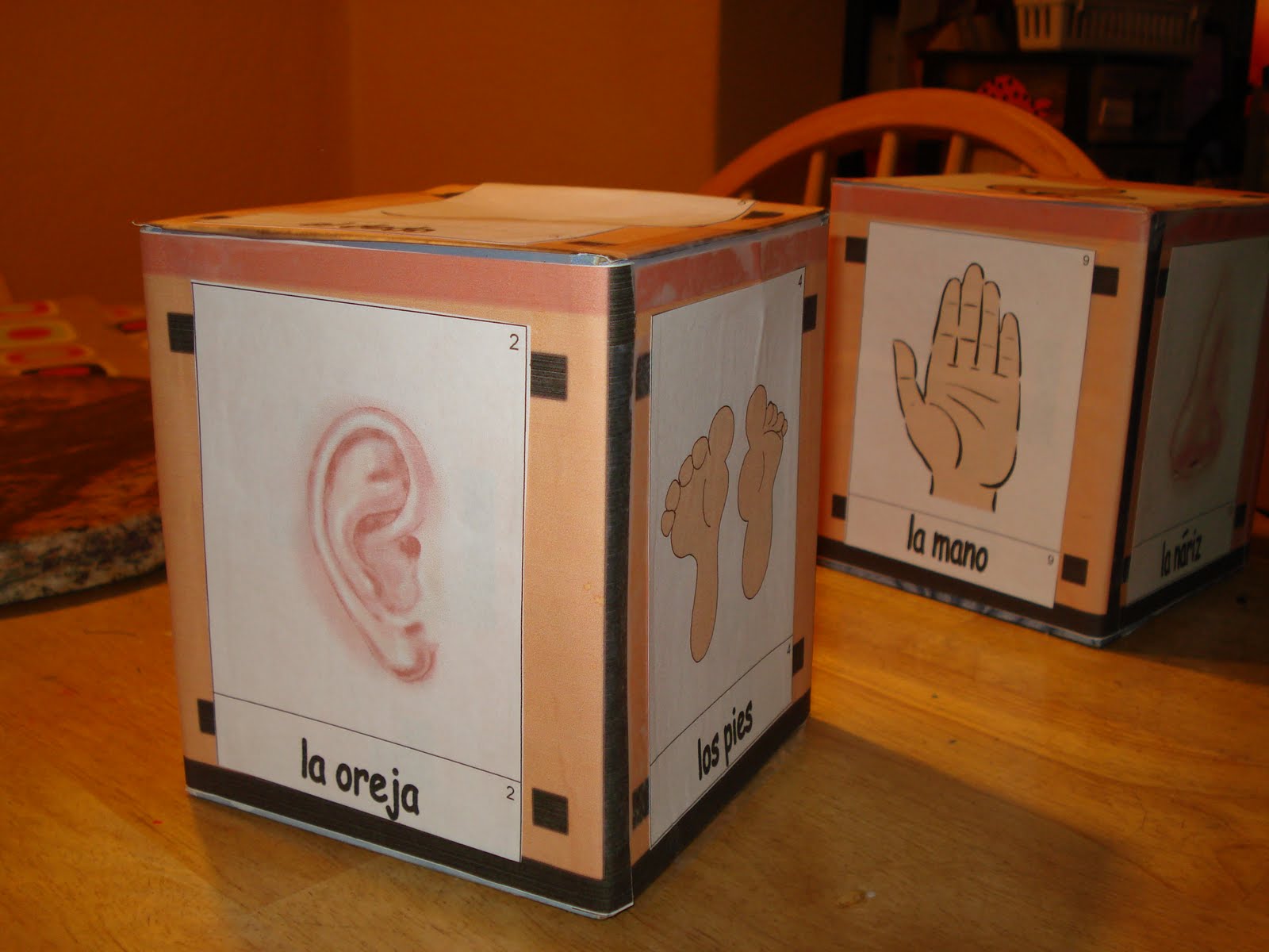 Montessori Spanish Classroom: Body parts