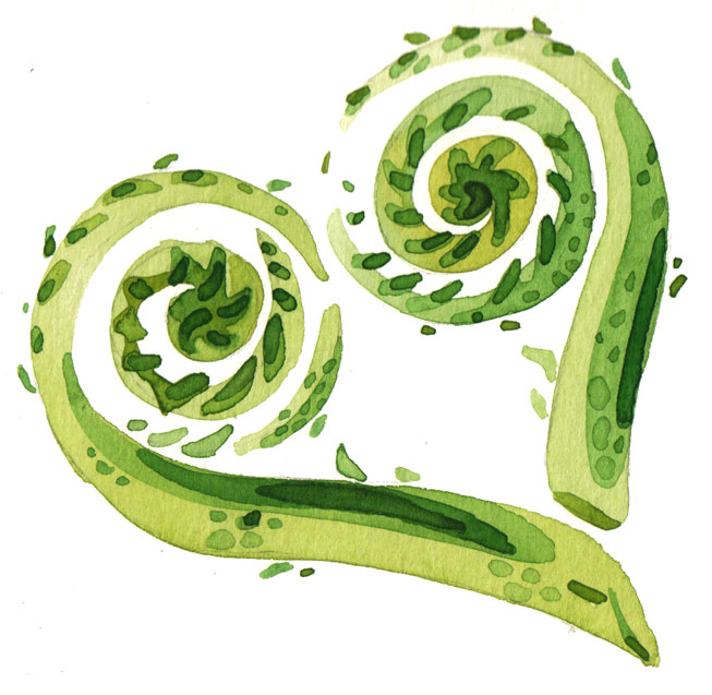 Jori Baldwin - Sketchbook: Fiddleheads!