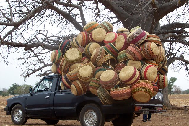 A Sad Goodbye to the Baba Tree - the MAIWA BLOG