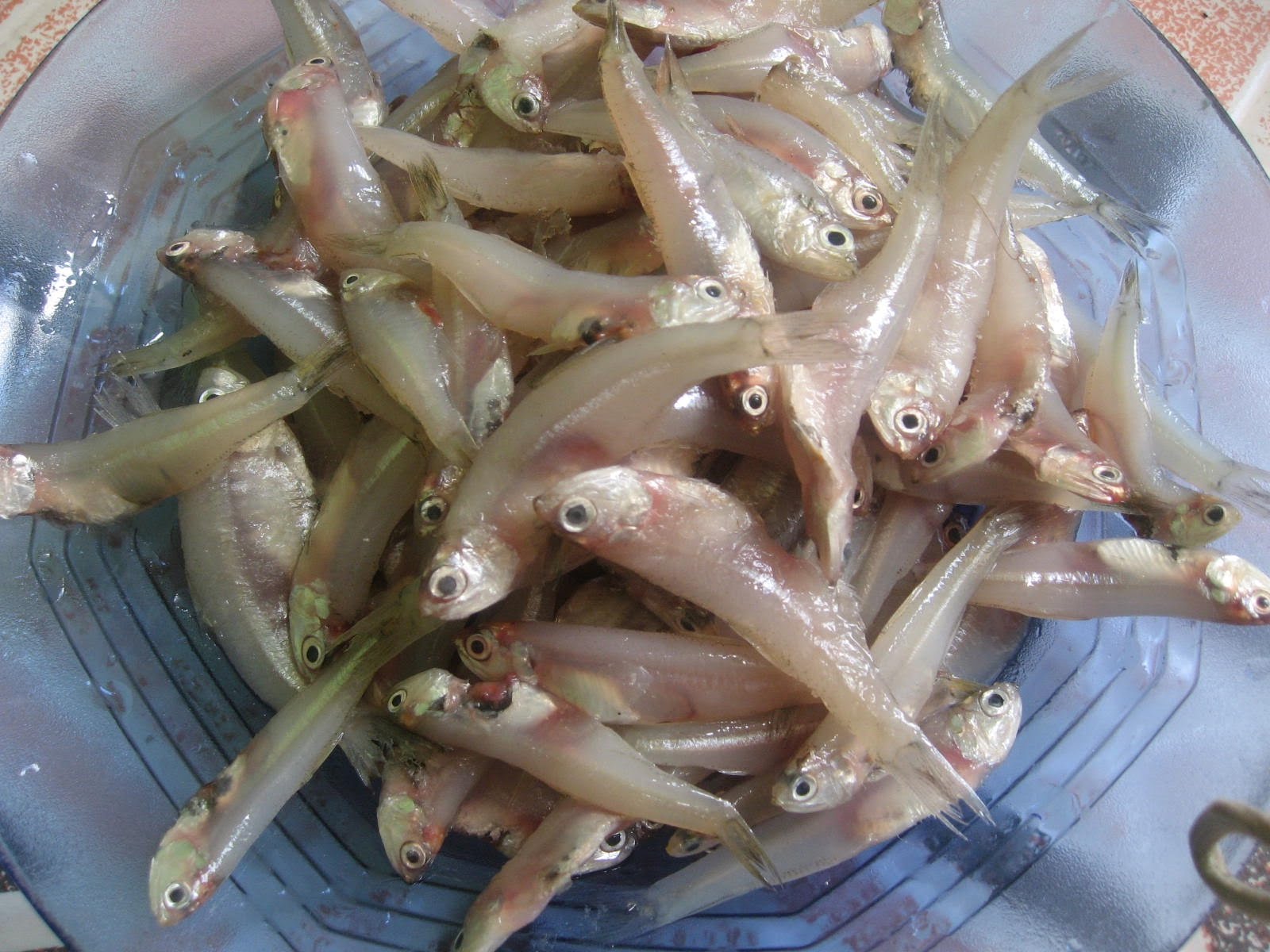 Dapur Tarakan: Ikan Seluang Krispy