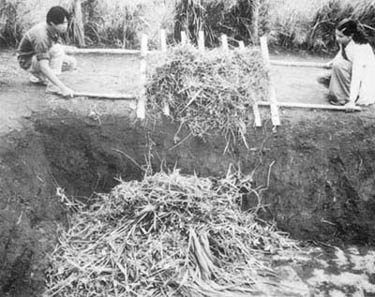 composting what? why? how?: The Indore Method "reloaded"