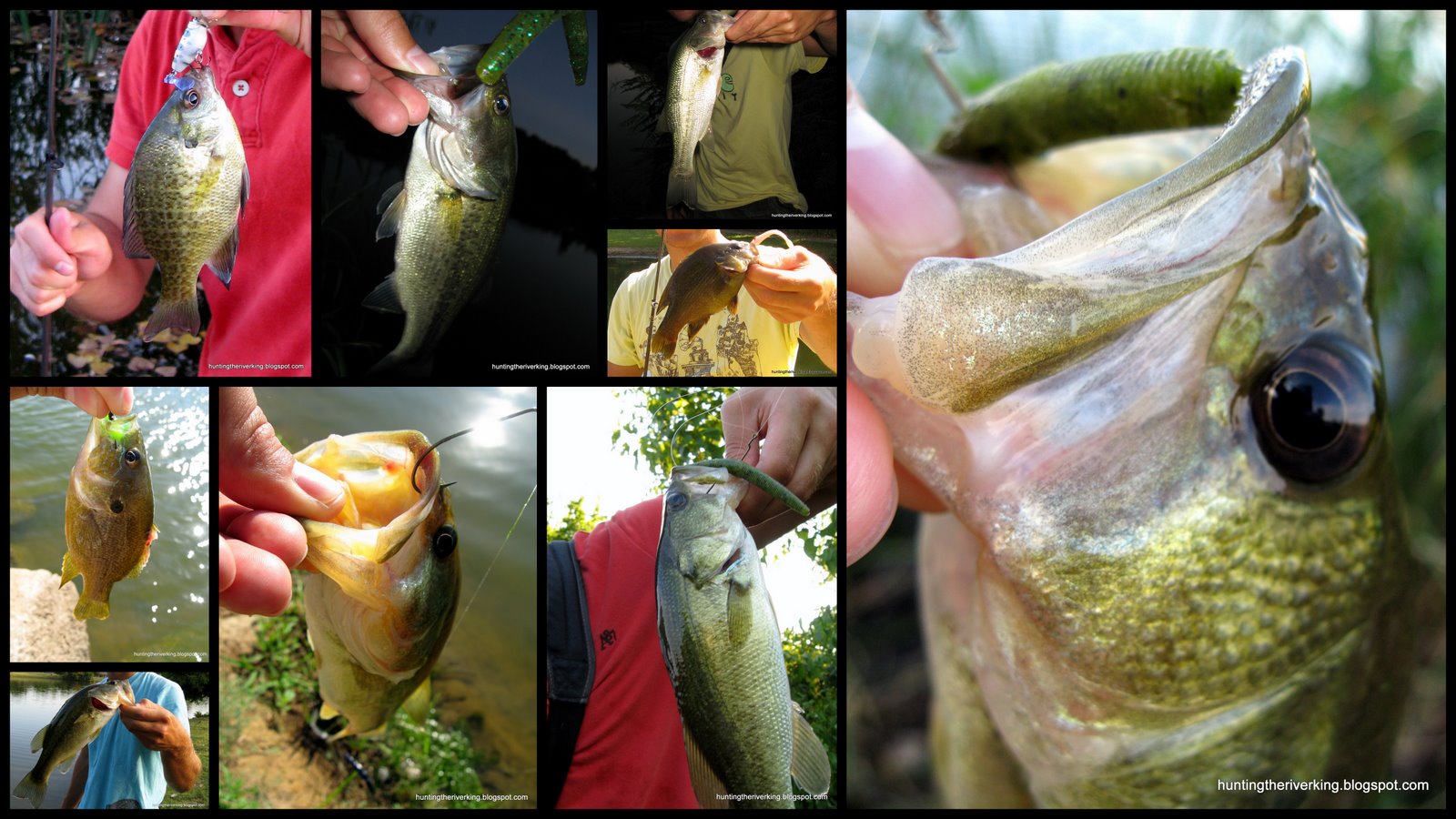 Fishing for bass and sunfish in Tulsa, Oklahoma - Hunting the River King