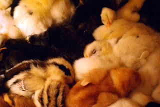 Your butt.: Lots and lots of fat cute things