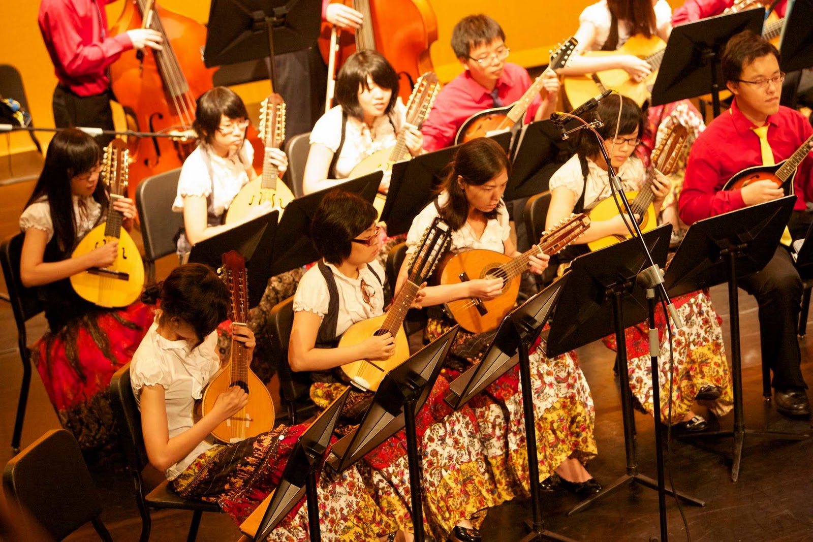 Largest Instrument In Rondalla at Thomas Lawson blog
