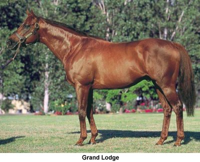 Stallion News...in est Europa - MONDOTURF