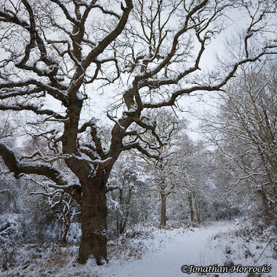 V.Watts Photography: Landscape Photographer - Jonathan Horrocks