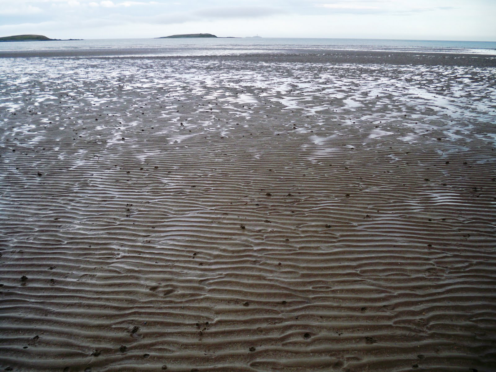 Patrick Comerford: Back to the beaches of Skerries