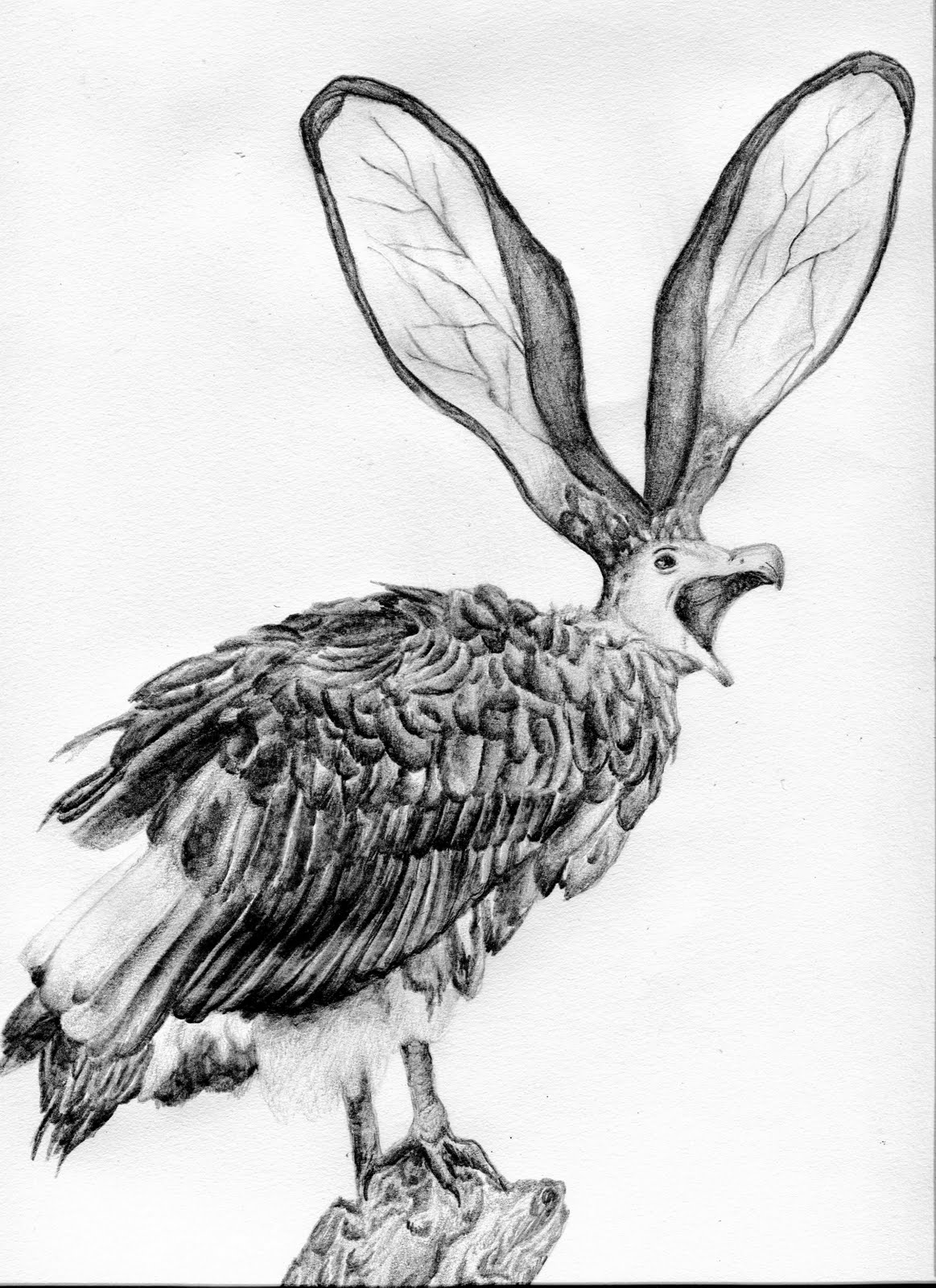 nine on seven........................: nine on seven reopens with ANIM