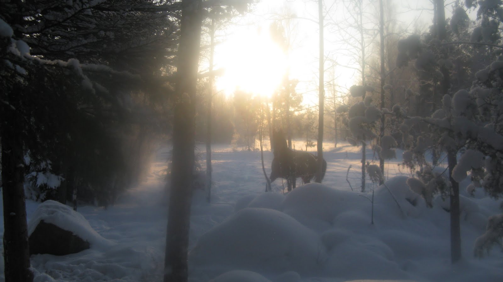 COUNTRYLIVING: Jul & Vinterbilder 2010