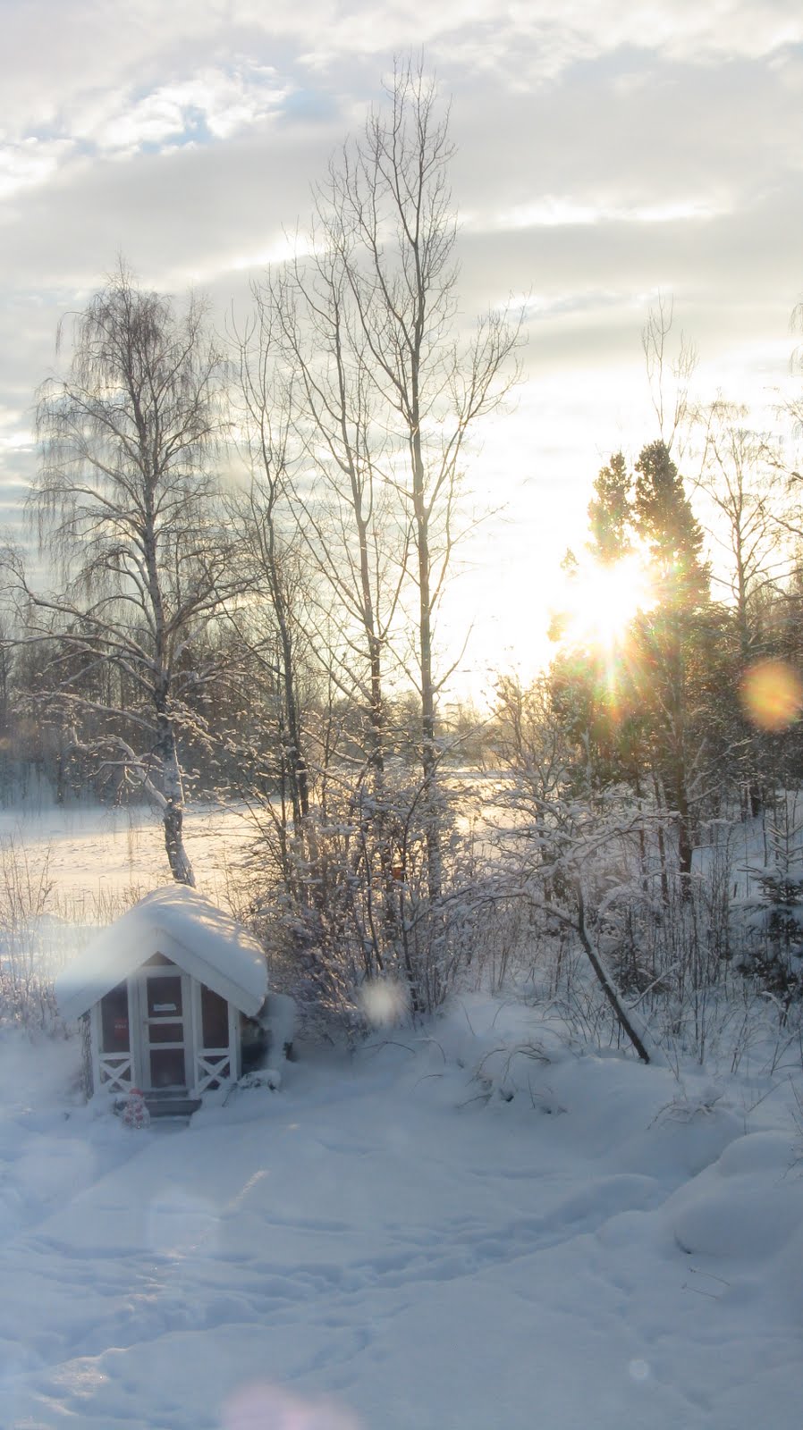 COUNTRYLIVING: Jul & Vinterbilder 2010