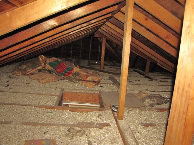 gregory jaczko: vermiculite insulation asbestos