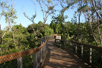 MadSnapper: Hiking Emerson Point Preserve