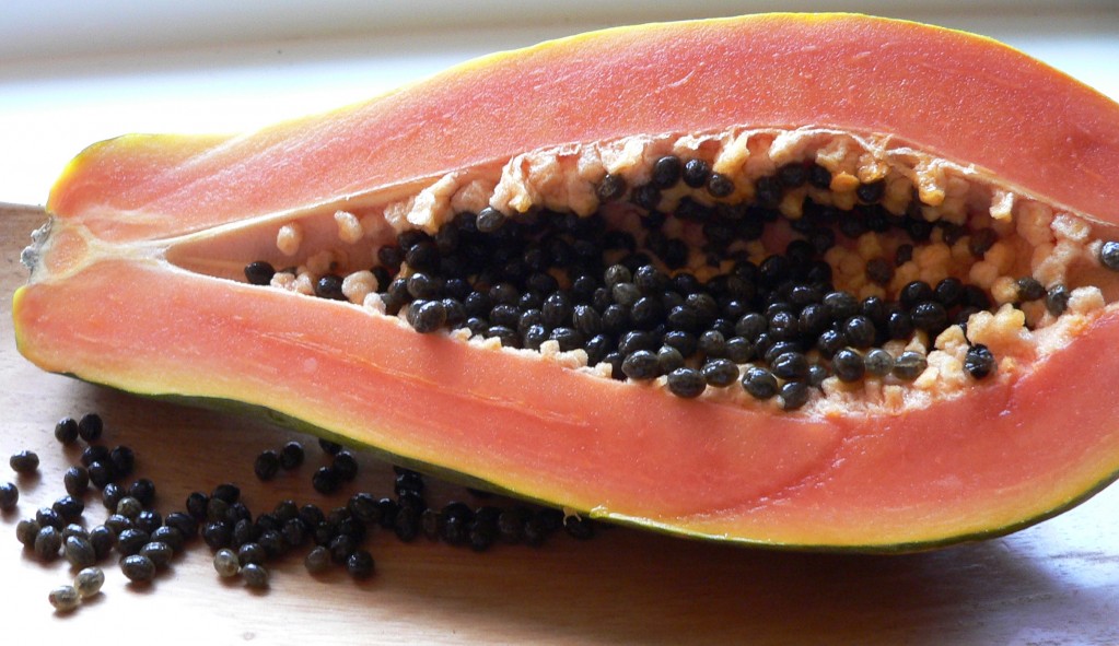 Back Roads Beauty: Papaya Seeds