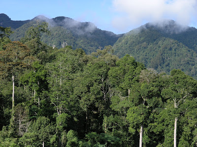 Philippines Birding Trip Reports: Lake Sebu, South Cotabato (Mindanao)