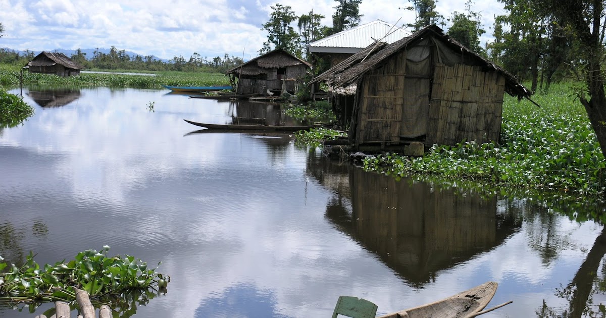 Philippines Birding Trip Reports: Agusan Marsh, Agusan del Sur (Mindanao)