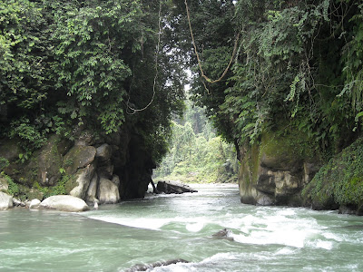Wonderful North Sumatera Tour Destination: TANGKAHAN, Langkat North Sumatra
