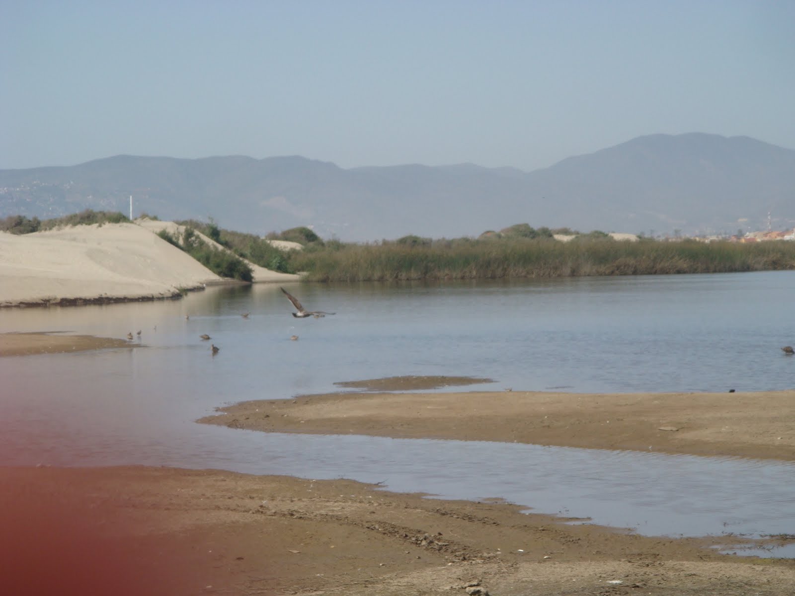 USO DEL MEDIO AMBIENTE: LA LAGUNITA DEL CIPRES