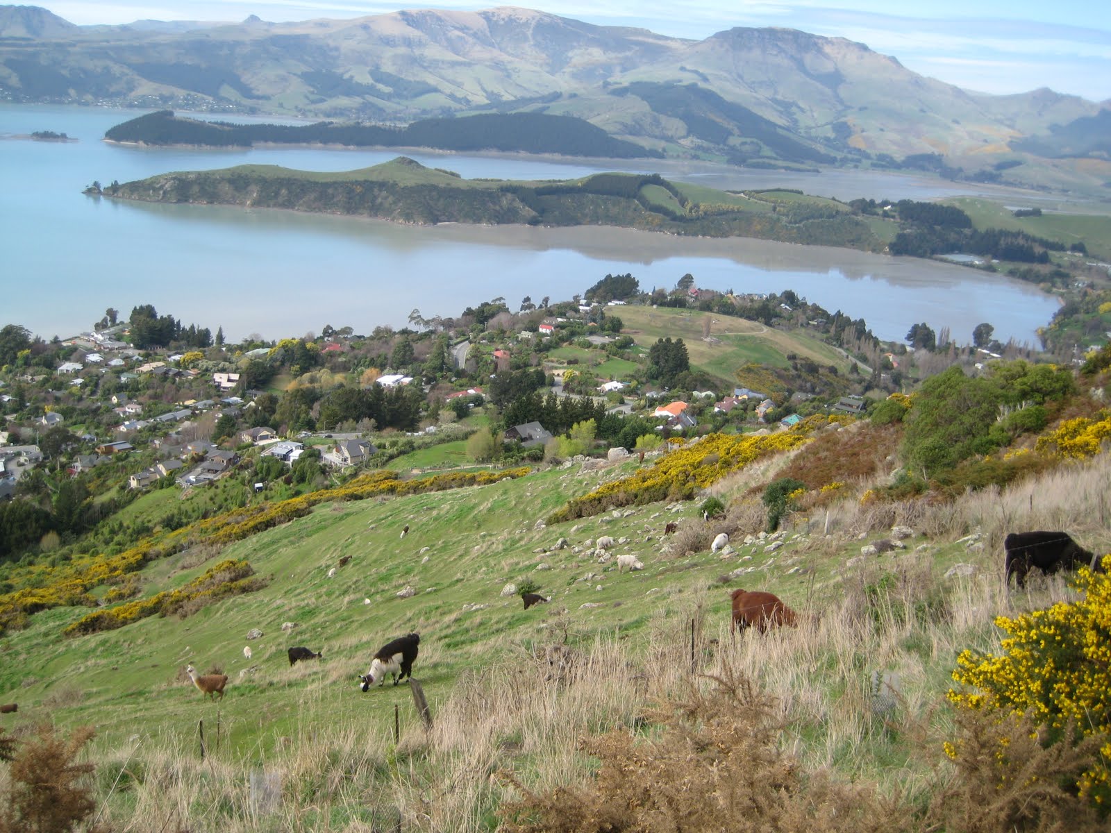 Brad and Catherine in New Zealand: Hoon Hay