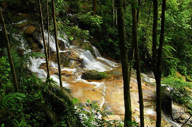 Templer's Park | Malaysia Tour