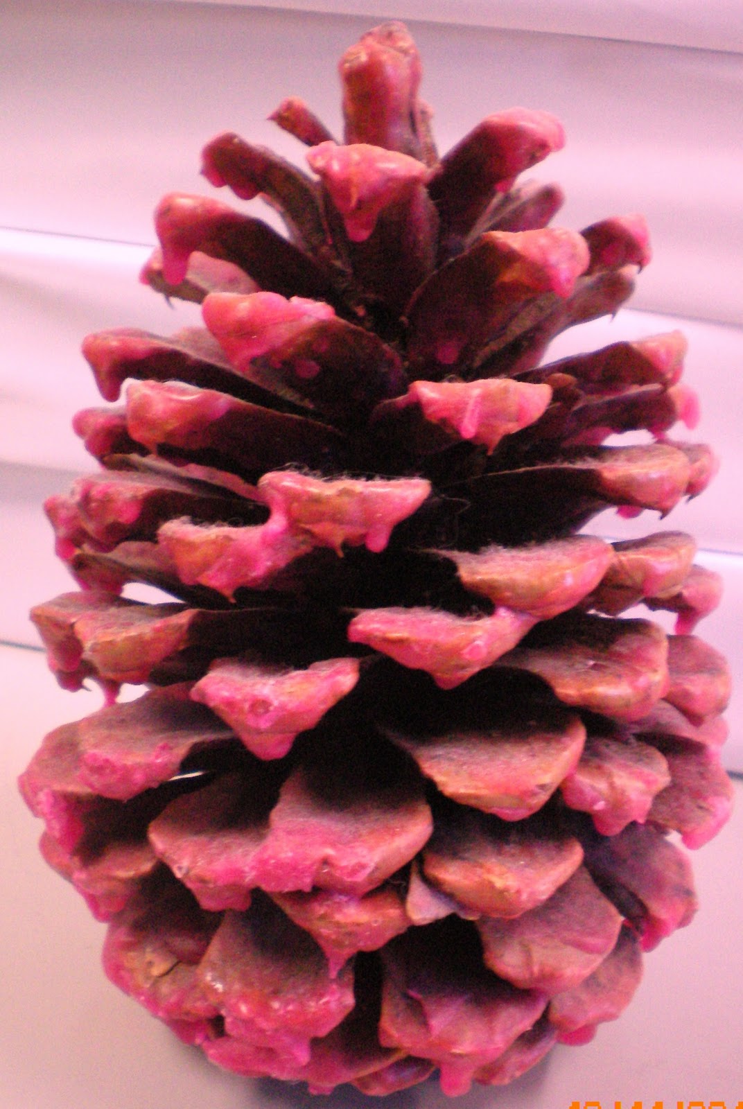 Southwest Cottage Designs: Rustic Pine Cone Gift Projects
