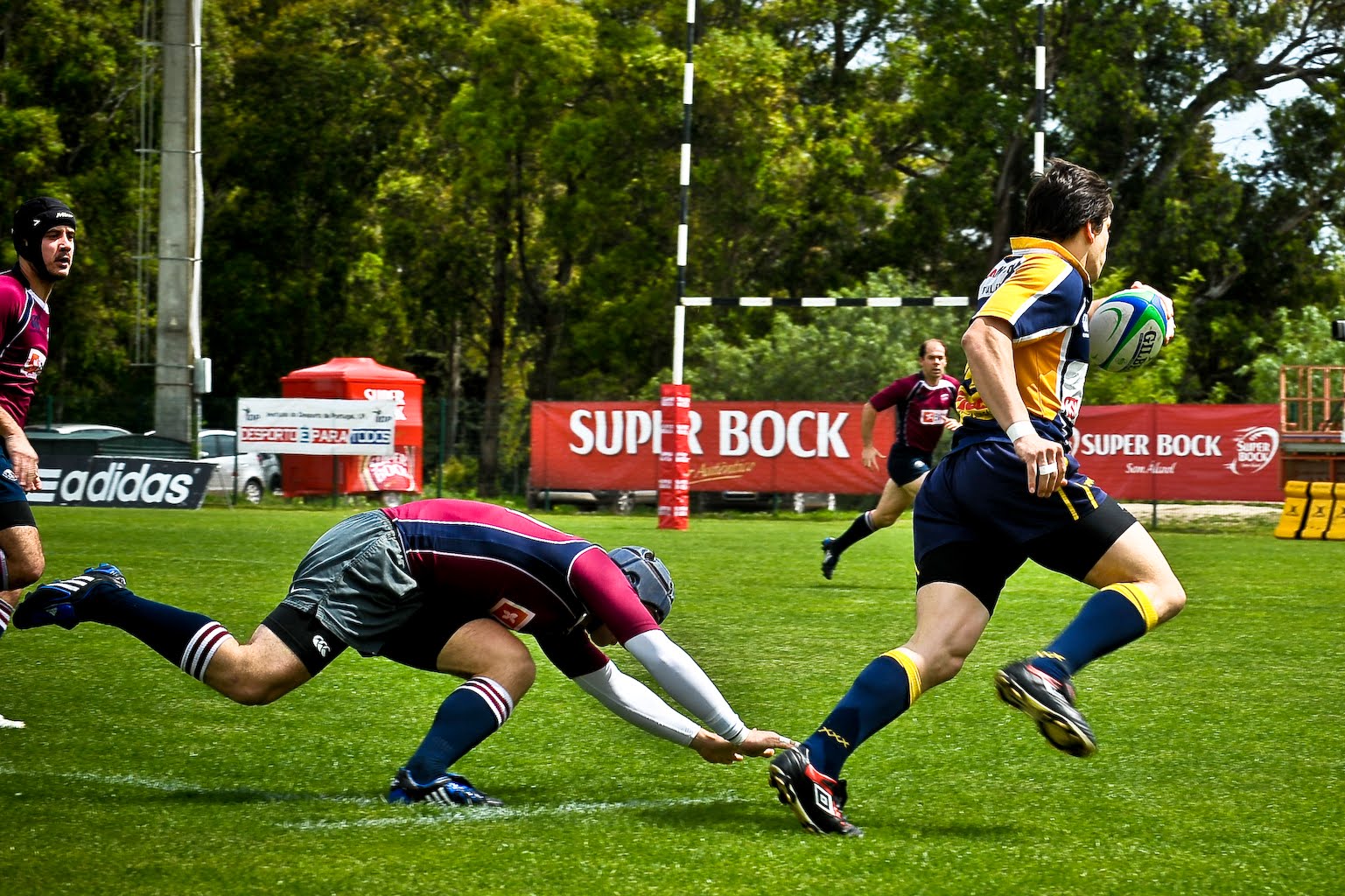 CDUL Rugby: Fotos Clube de Rugby Arcos de Valdevez - Clube de Rugby de ...